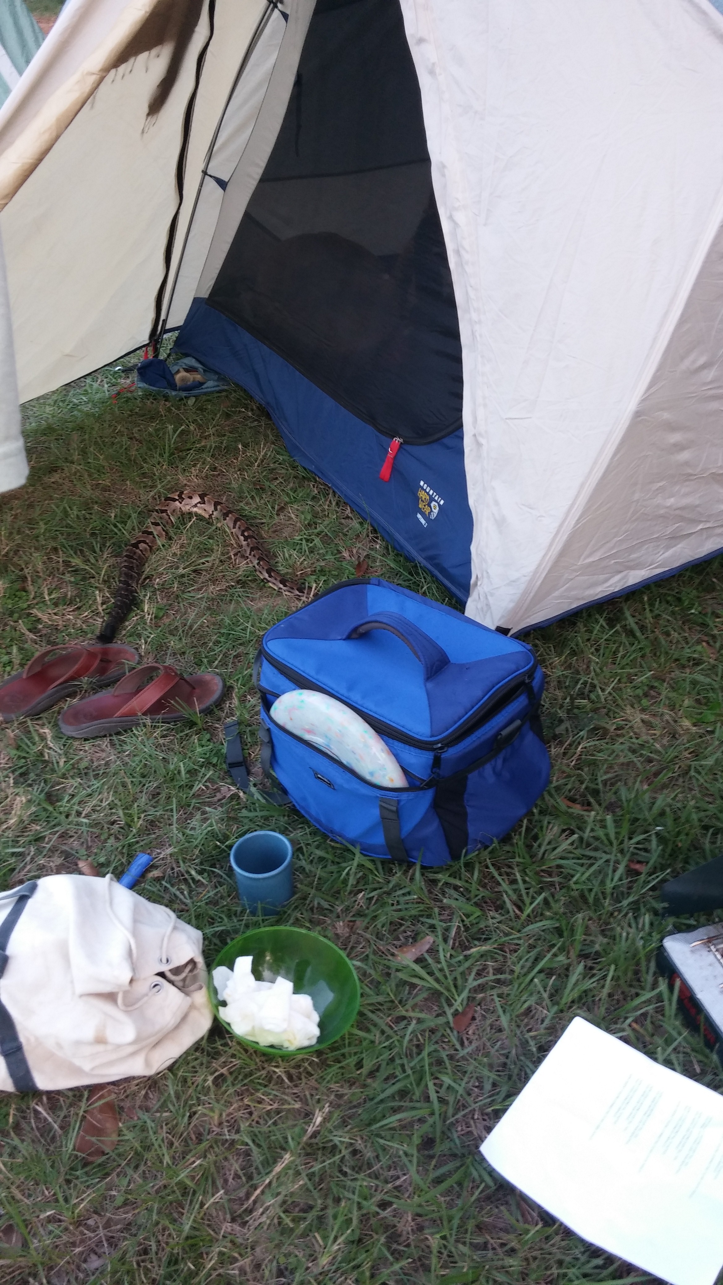 spirit snake tent – Earthtribe